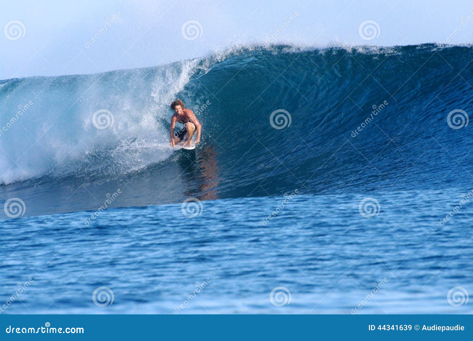 The perfect barrel editorial stock image. Image of keen - 44341639