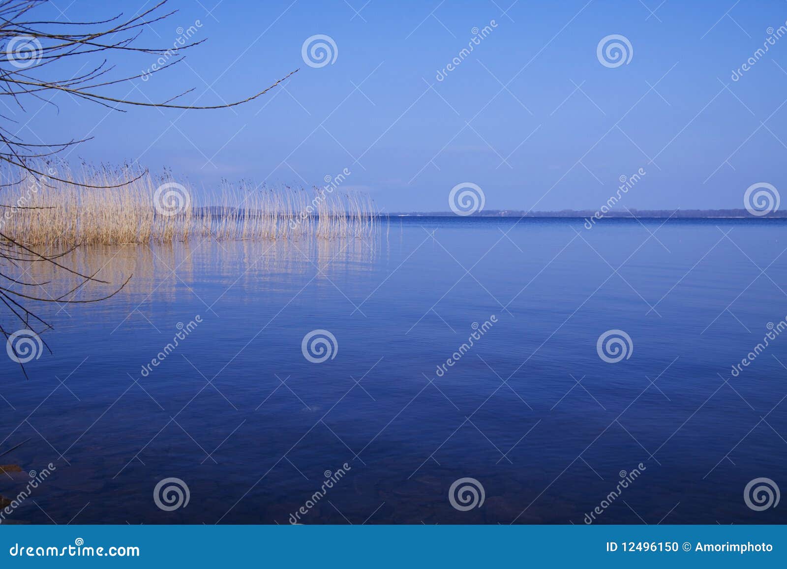Perfect blue lake stock photo. Image of green, fluid - 12496150