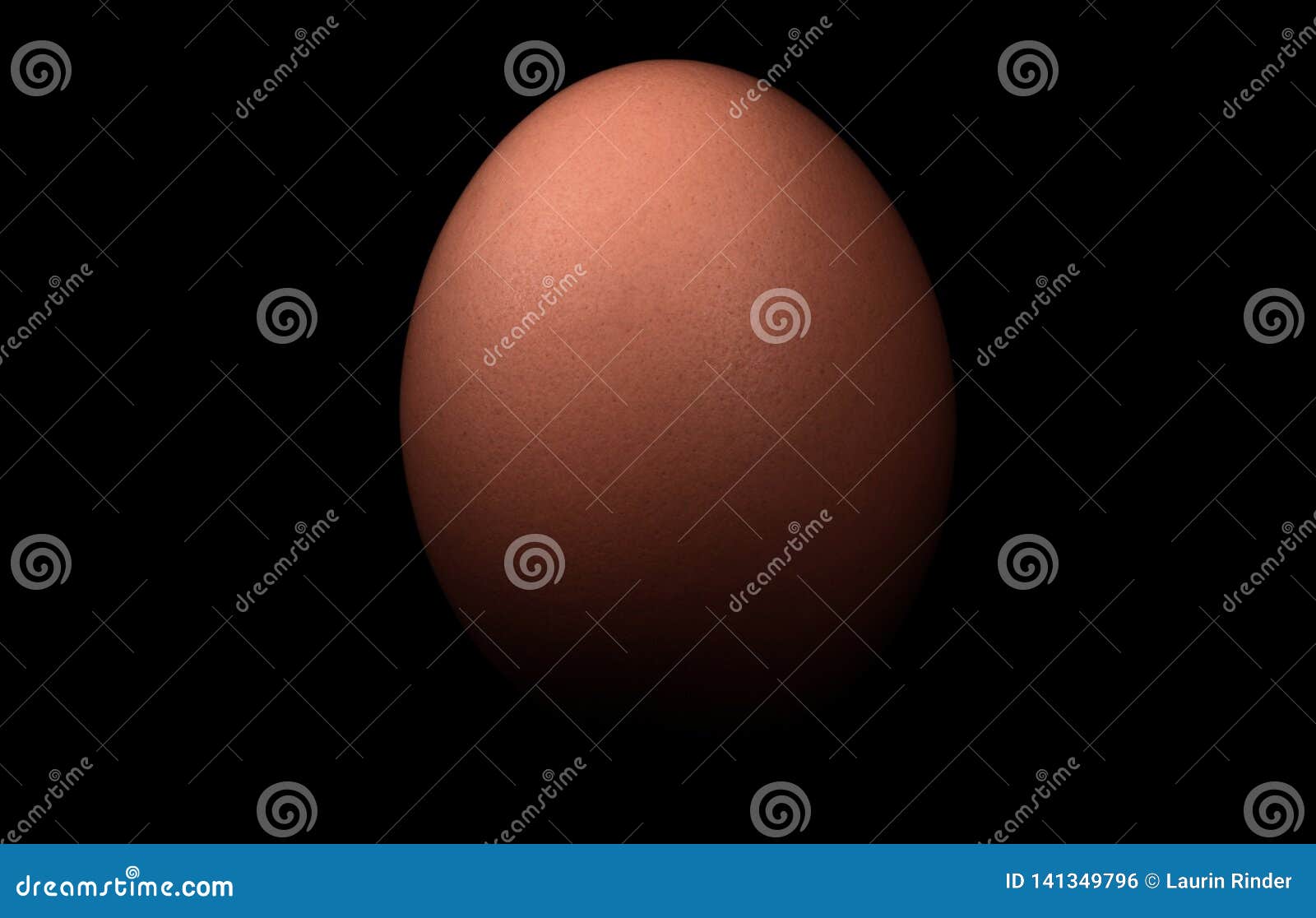 The Perfect Brown Egg stock photo. Image of background - 141349796