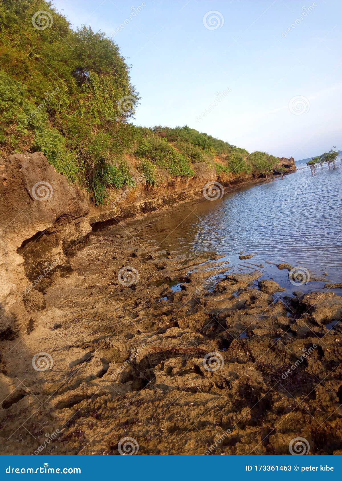 Perfect capture stretch stock image. Image of beach - 173361463