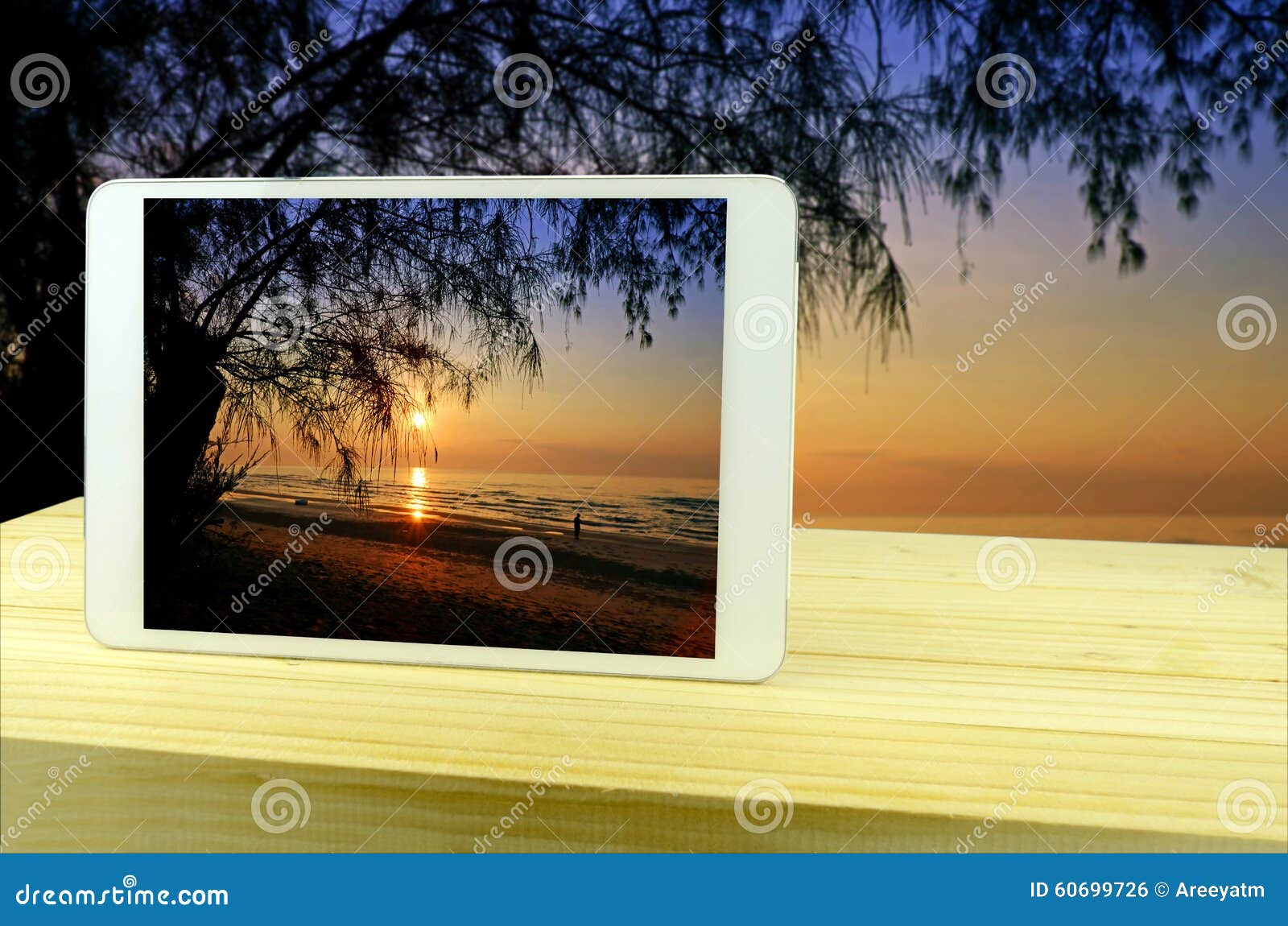 Perfect Capture. stock photo. Image of nature, peaceful - 60699726