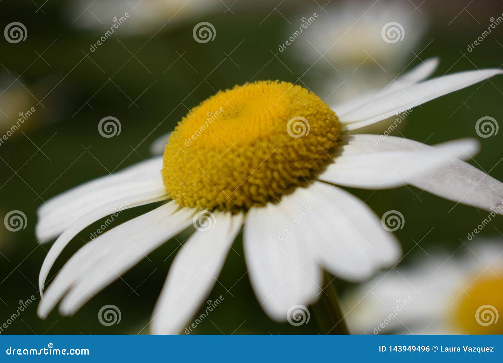 Perfect combination stock photo. Image of combination - 143949496