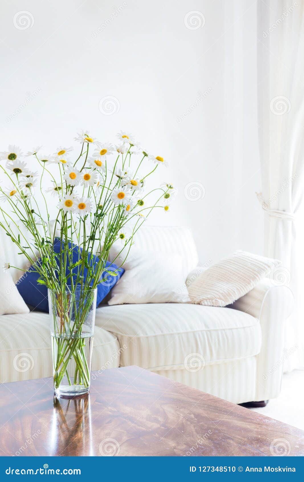 Perfect Daisy Flowers on a Table in White Living Room in Front O Stock ...