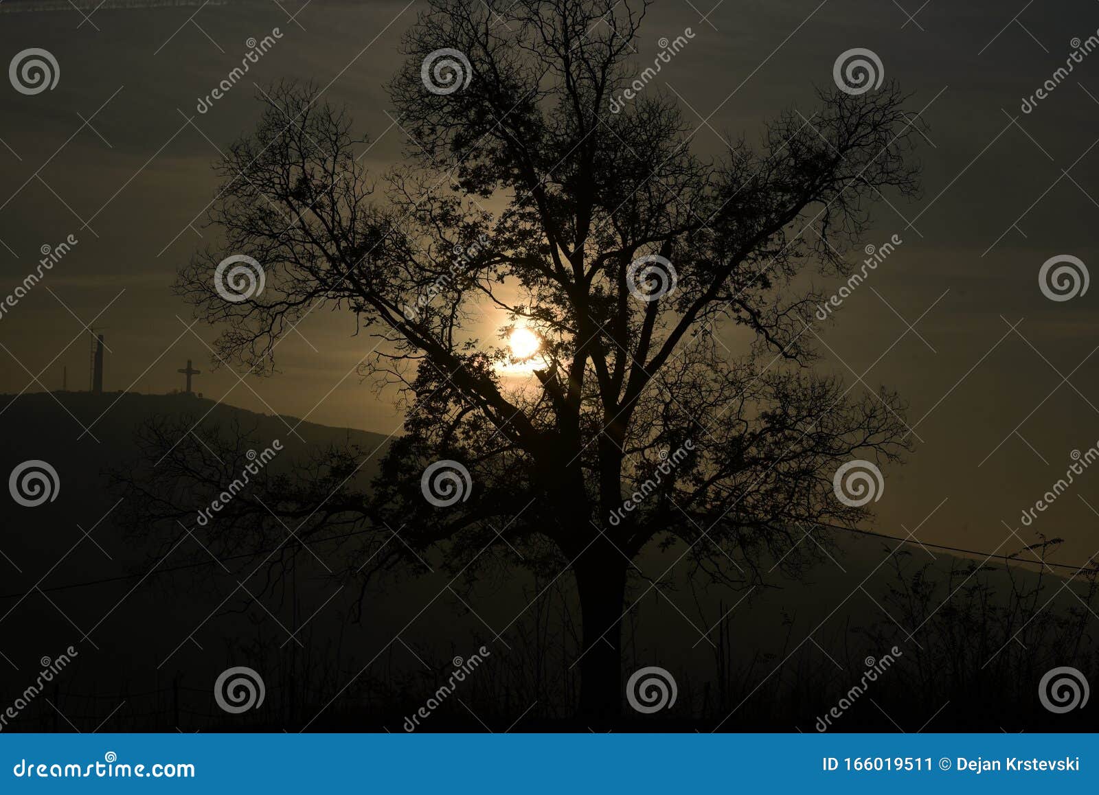 Dark Tree stock image. Image of landscape, sunset, nature - 166019511