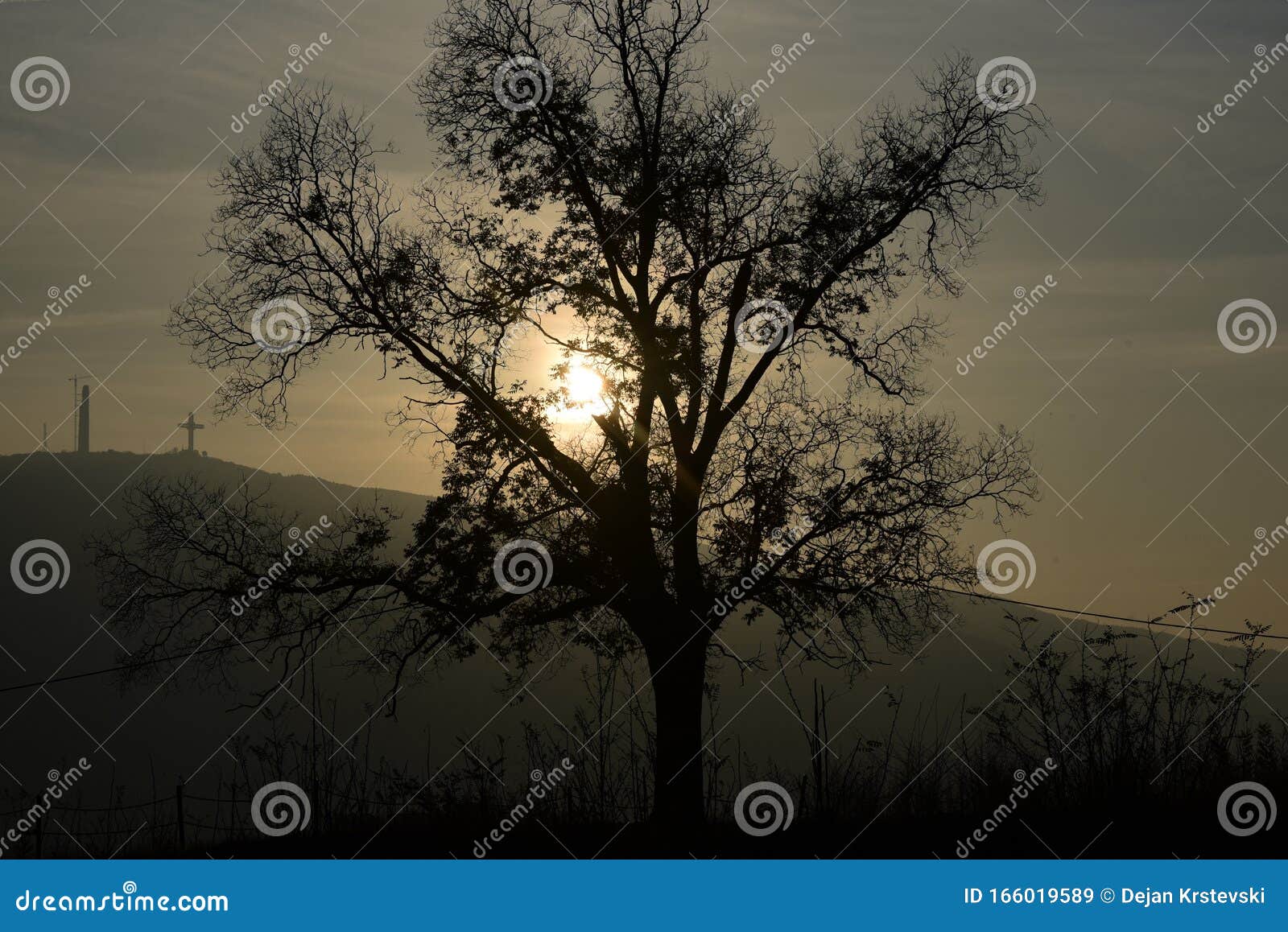 Dark Tree Alone stock image. Image of color, wallpaper - 166019589