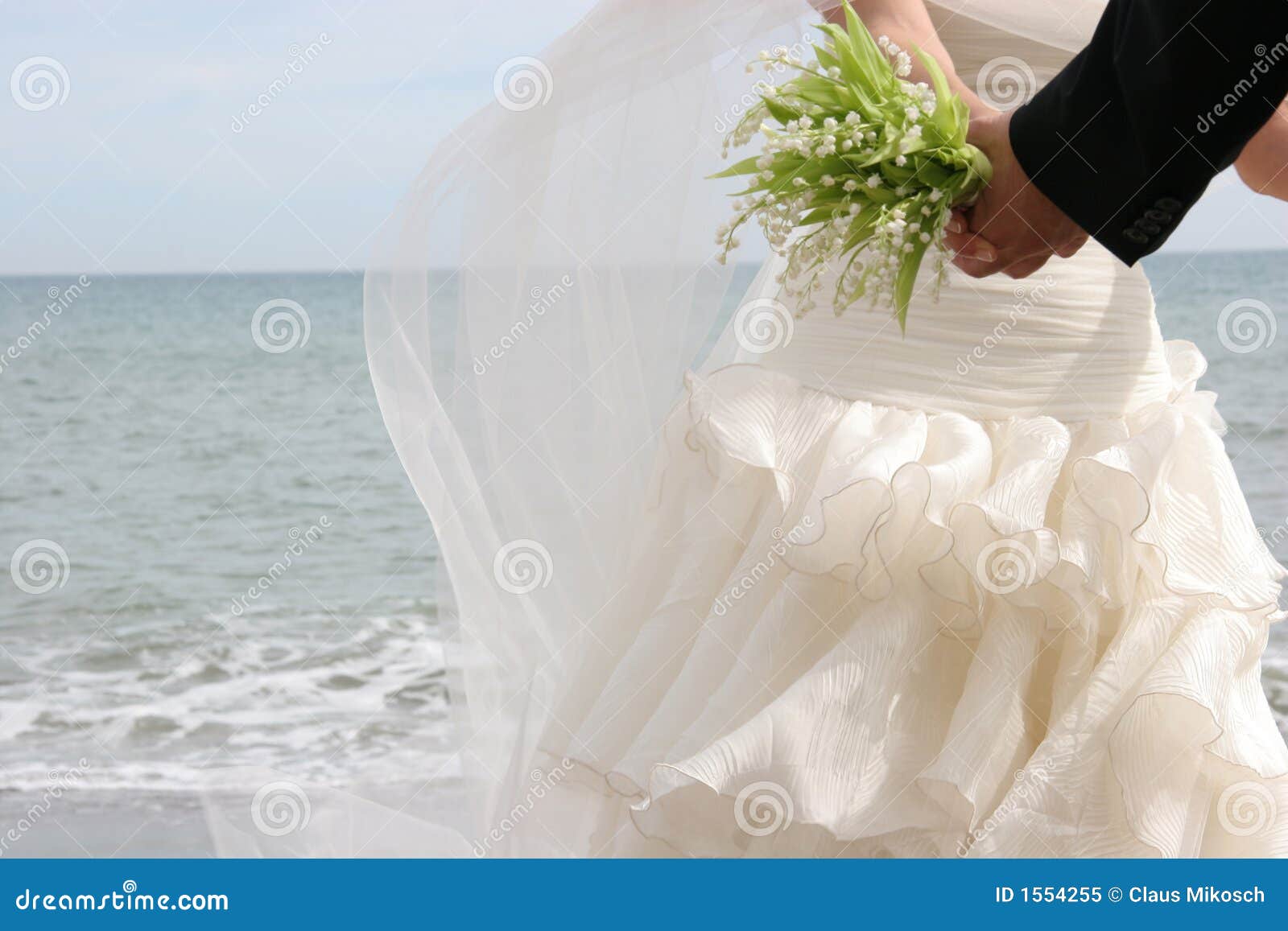 Perfect day stock image. Image of unique, veil, walk, perfect - 1554255