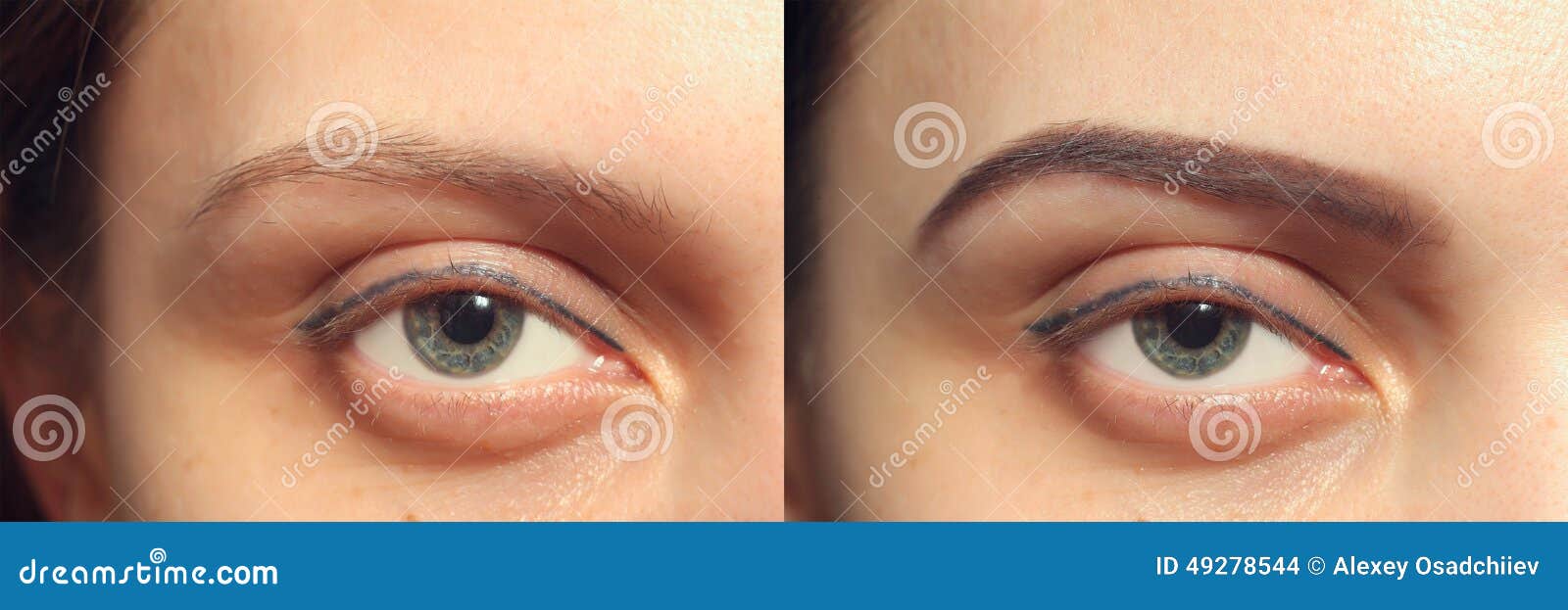 142 Perfect Eyebrows Two Eyes Stock Photos - Free & Royalty-Free Stock ...