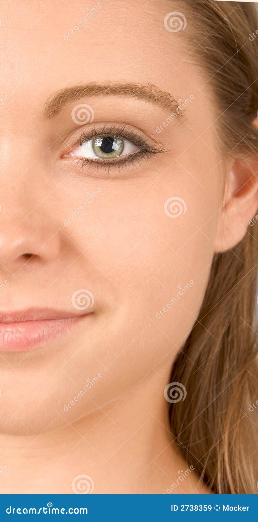 Perfect face stock image. Image of body, young, eyebrow - 2738359