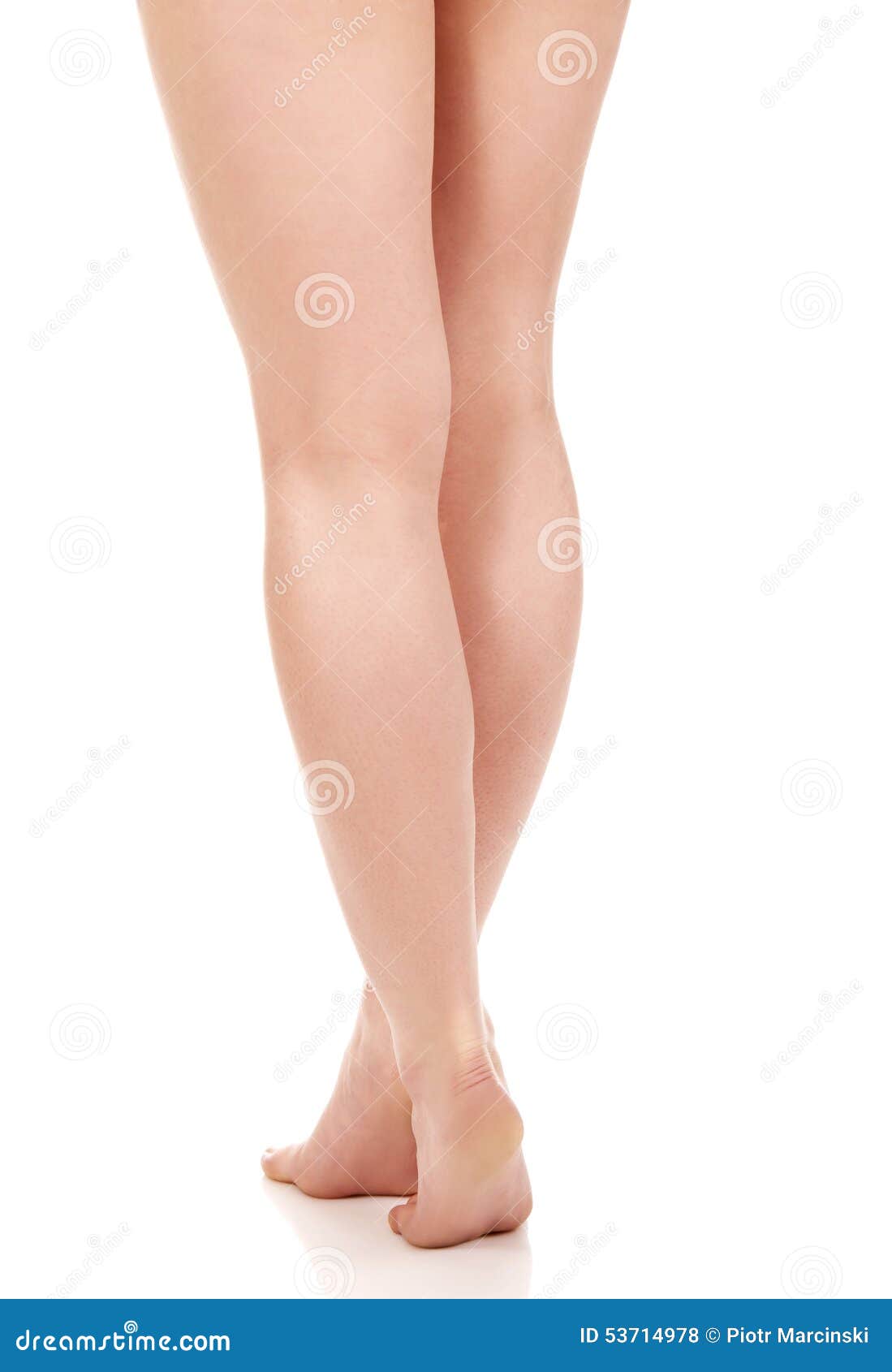 Perfect Female Legs. Stock Photo - Image: 53714978