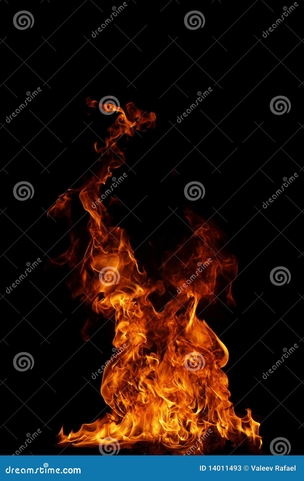Perfect fire flame stock image. Image of orange, nature - 14011493