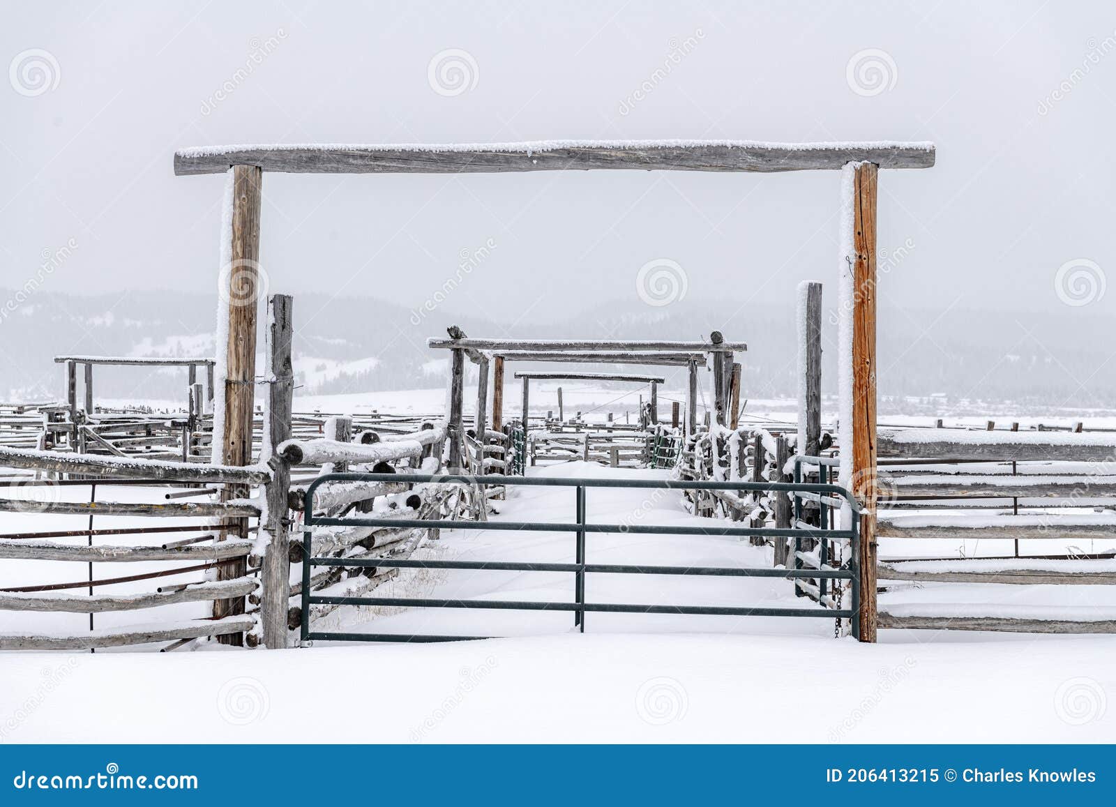 Perfect Frame Corral Posts Lines Up in Rows Stock Image - Image of ...