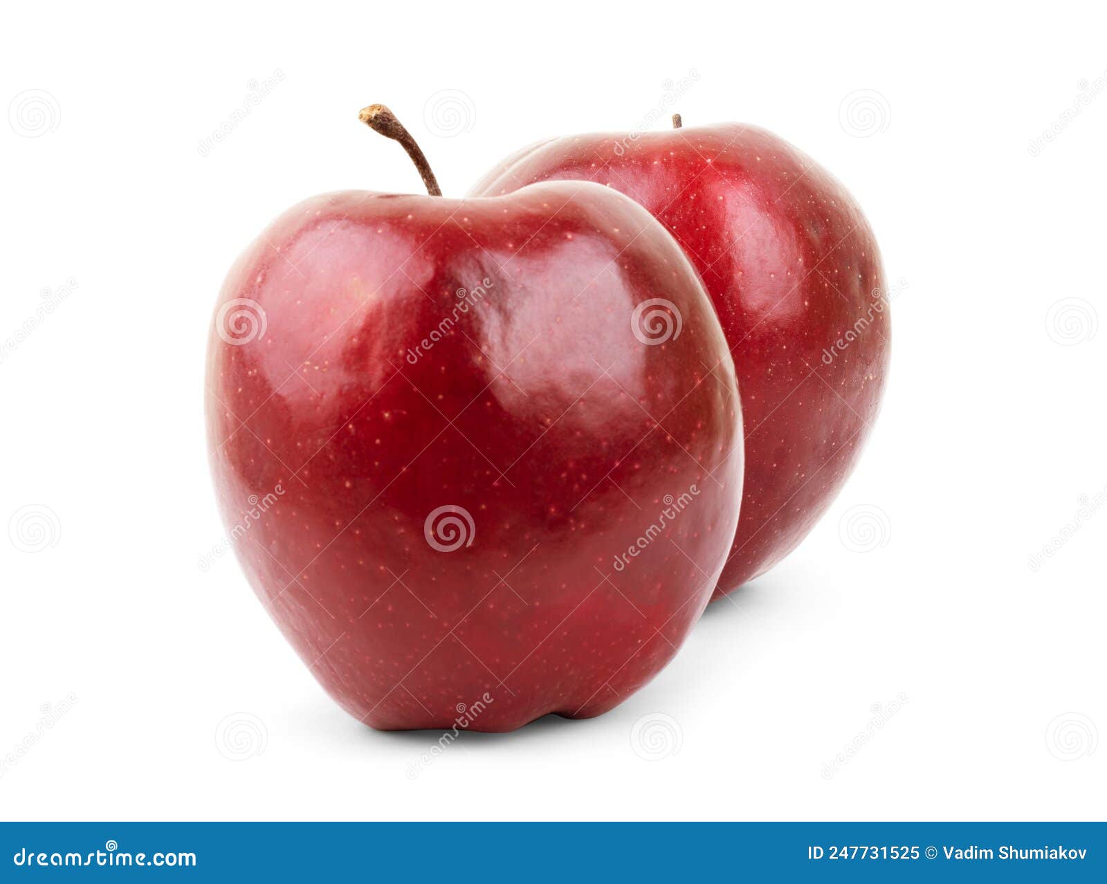 Perfect Fresh Green Apple Isolated on White Background in Full Depth of ...