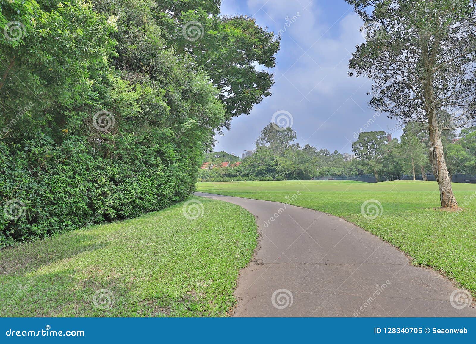 A Perfect Grass Golf Course Field Hk Stock Image - Image of empty ...
