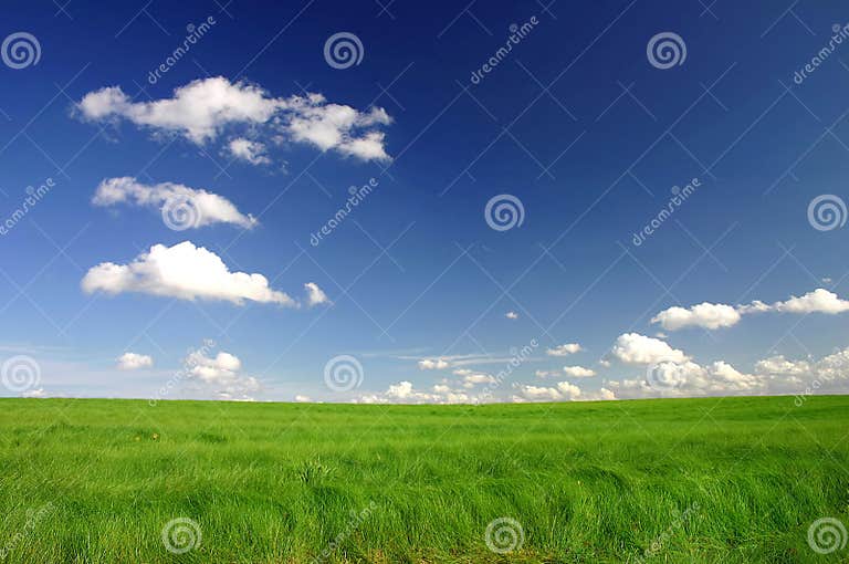 Perfect green field stock image. Image of country, harvest - 1984735