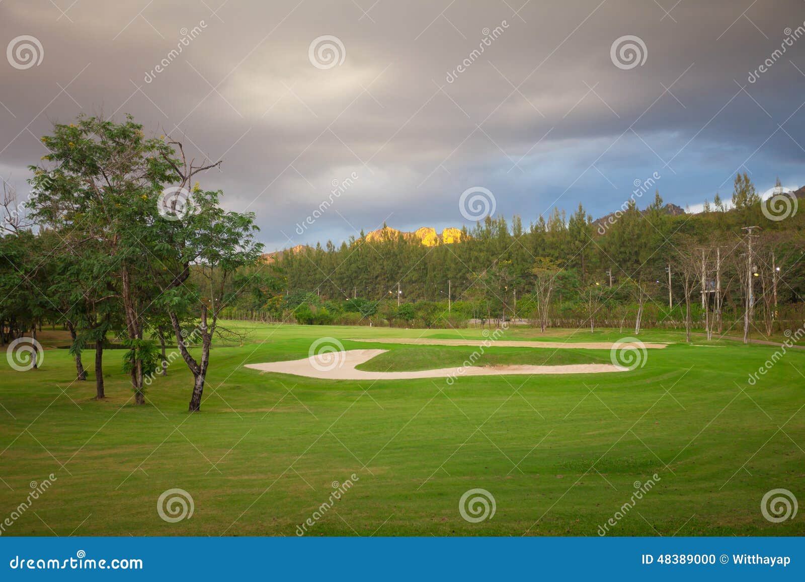 Perfect Green Grass on a Golf Field Stock Photo - Image of nature ...