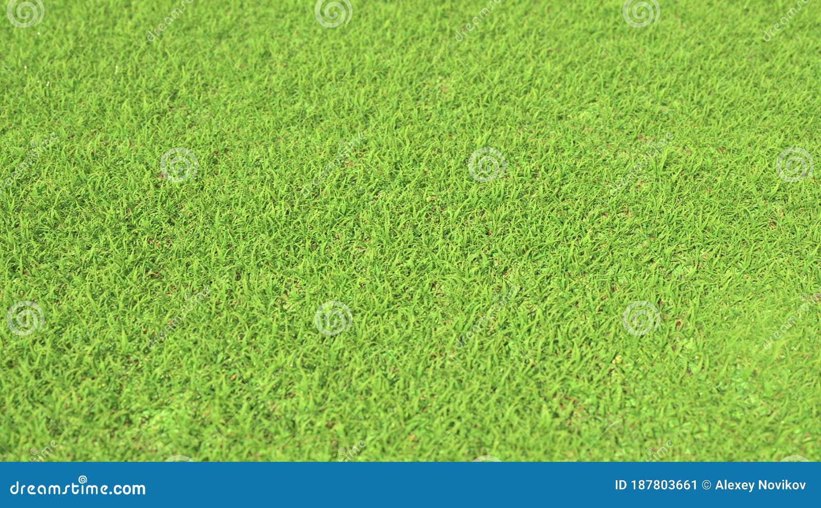 Perfect Green Grass Lawn View Stock Image - Image of golf, green: 187803661