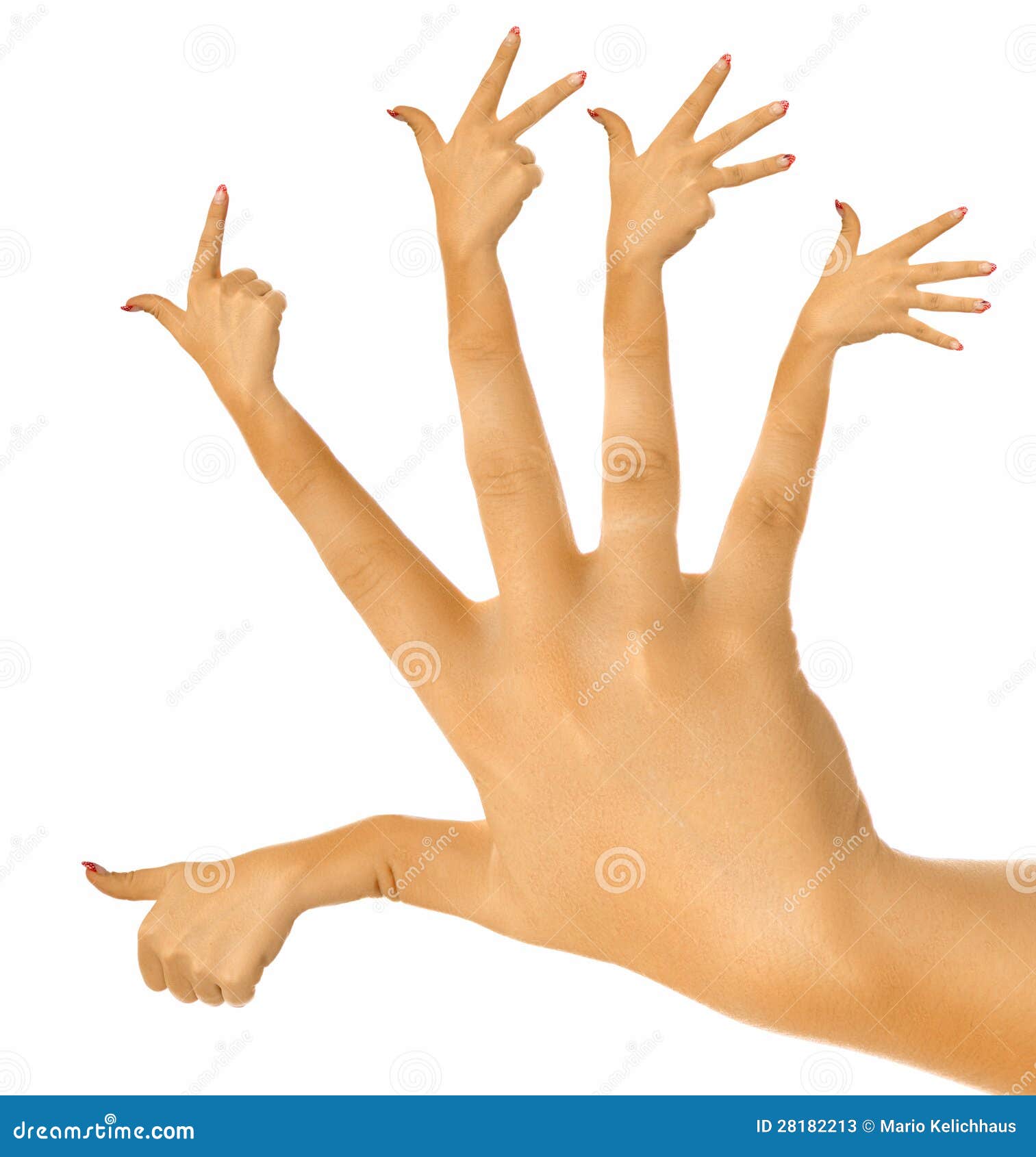 Perfect hand stock image. Image of hand, count, finger - 28182213