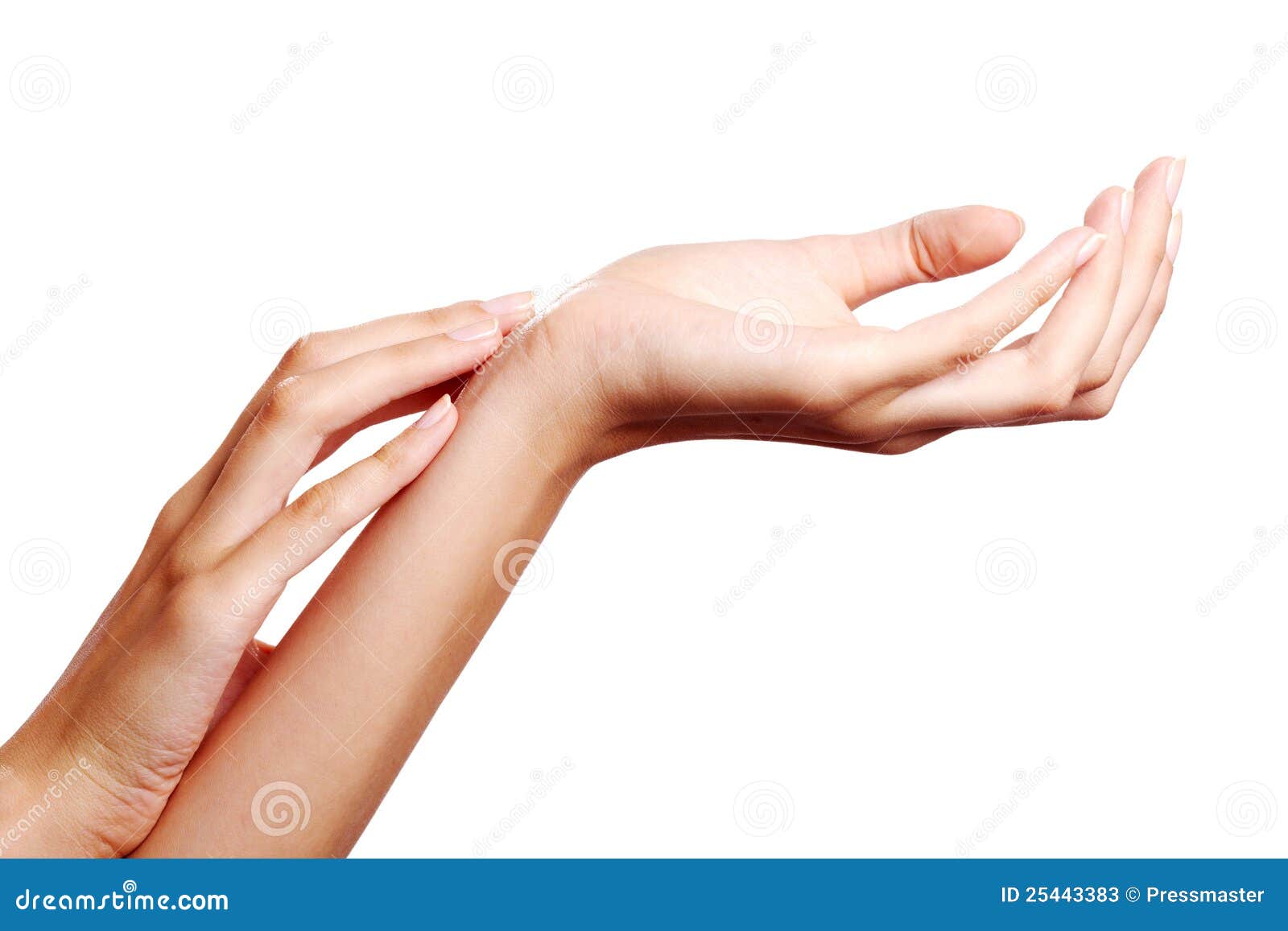 Perfect hands stock image. Image of nailcare, health - 25443383