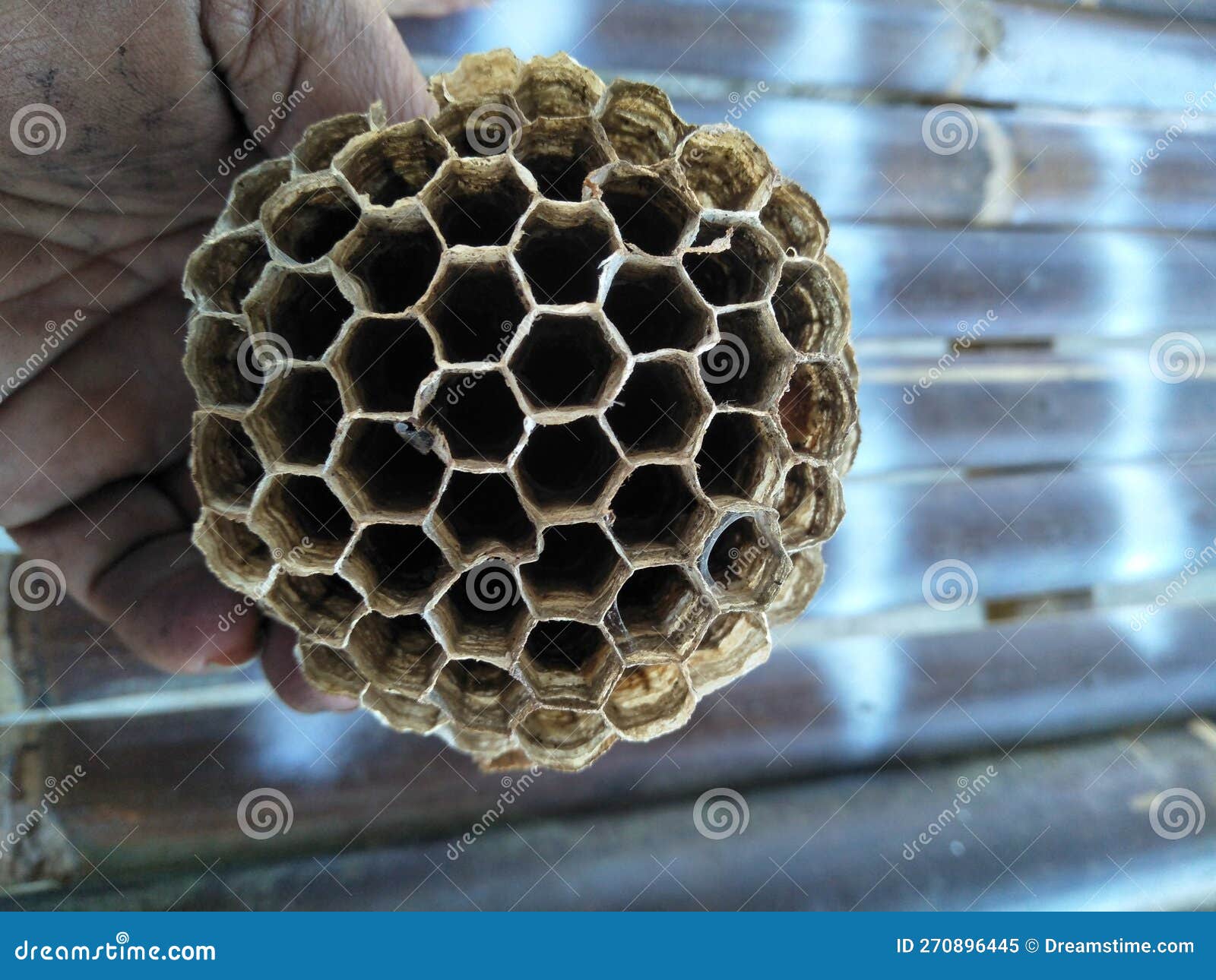 Perfect Hexagonal of Bee House Stock Image - Image of perfect, honeybee ...