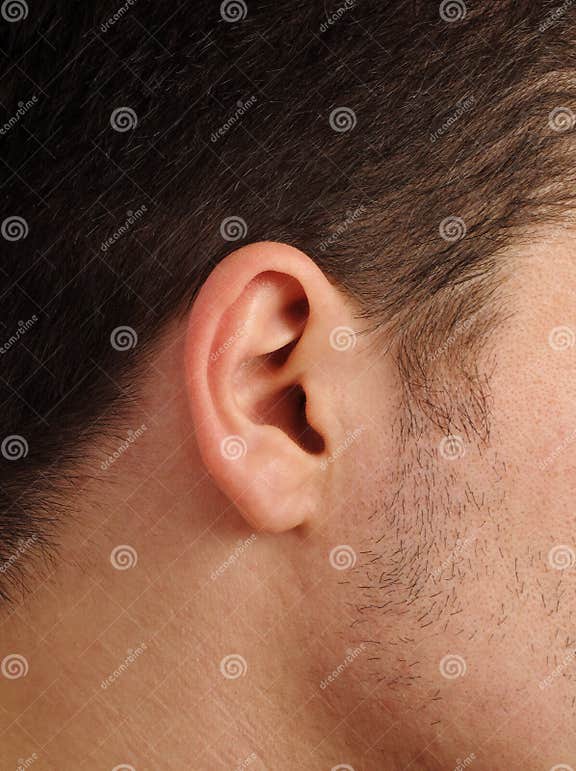 Perfect human ear stock image. Image of lobe, caucasian - 18950449