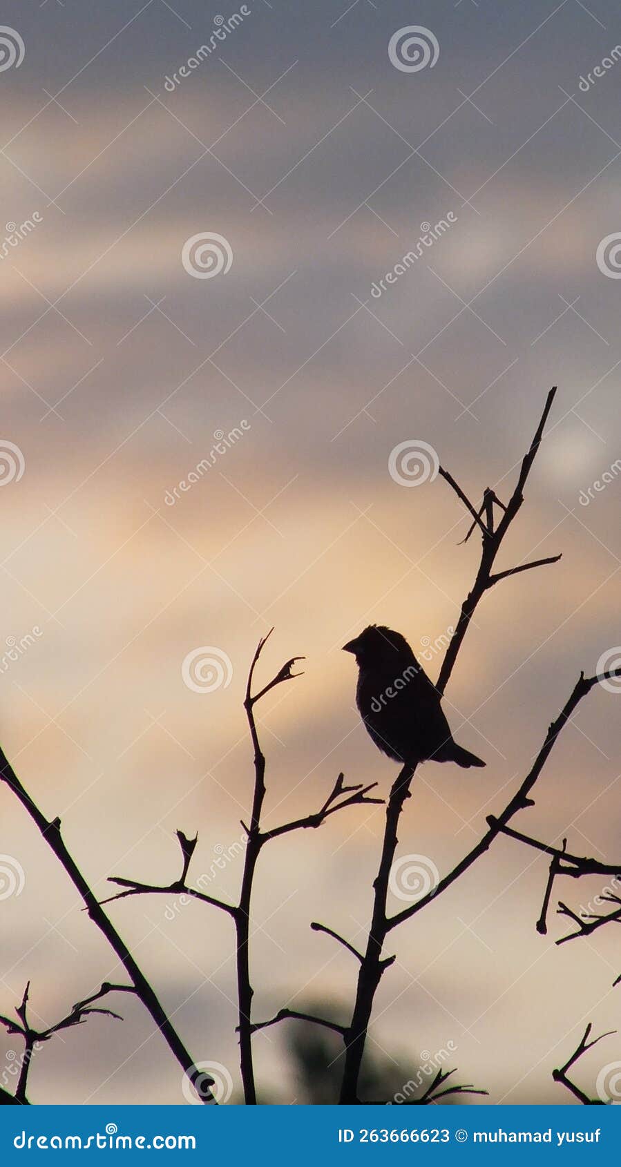 Perfect Human Body Pyramid. Royalty-Free Stock Photo | CartoonDealer ...