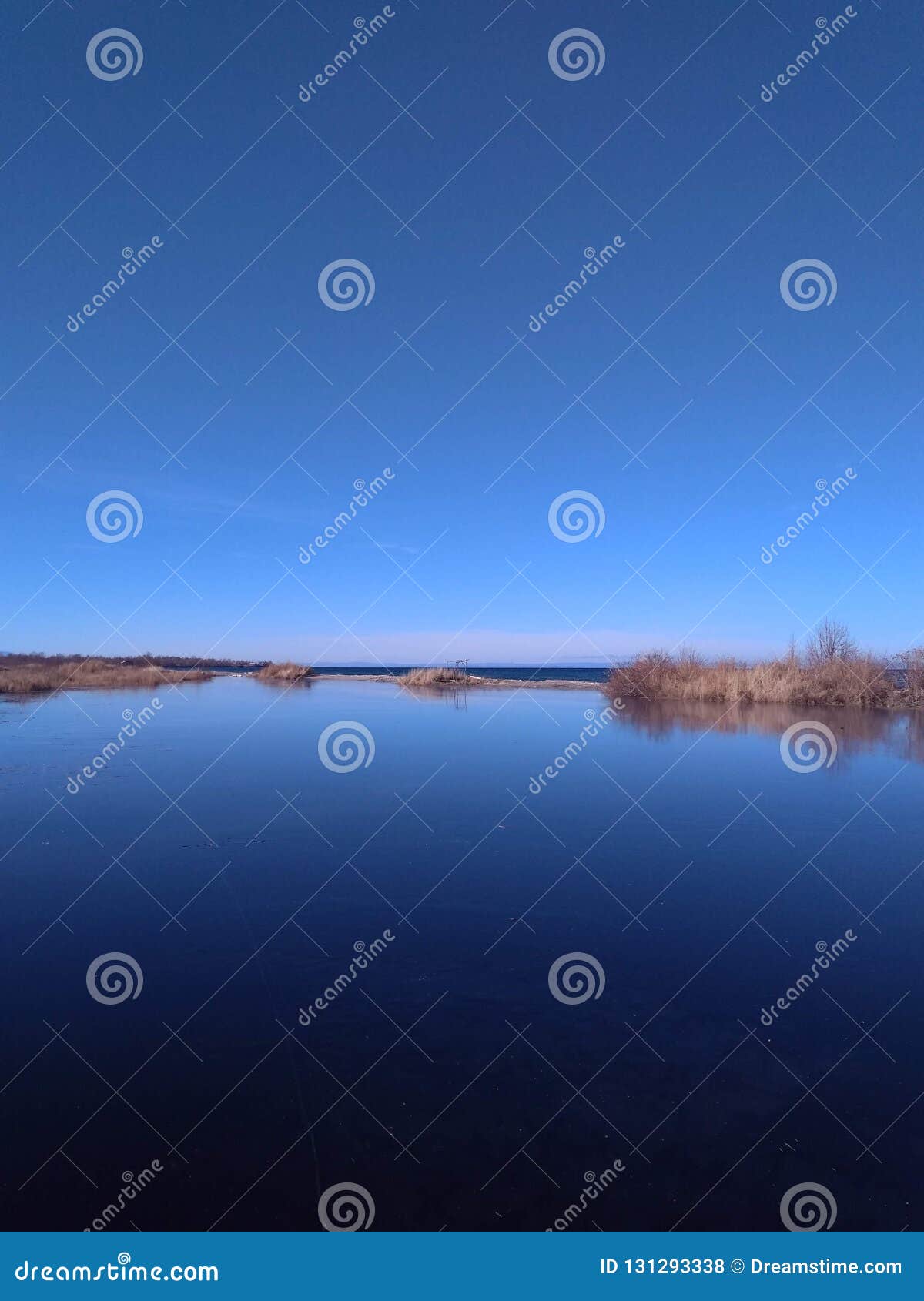 Perfect ice in the swamp stock photo. Image of reflection - 131293338