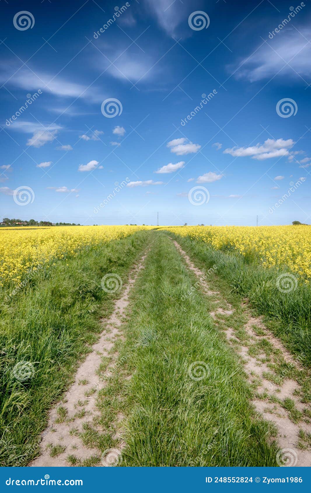 The Perfect Landscape of Fields in a Sunny Day with Perfect Clouds in ...