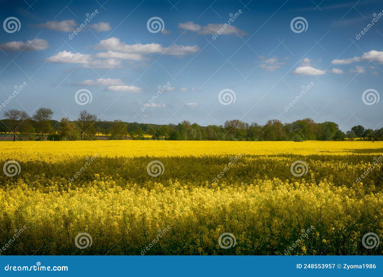 The Perfect Landscape of Fields in a Sunny Day with Perfect Clouds in ...