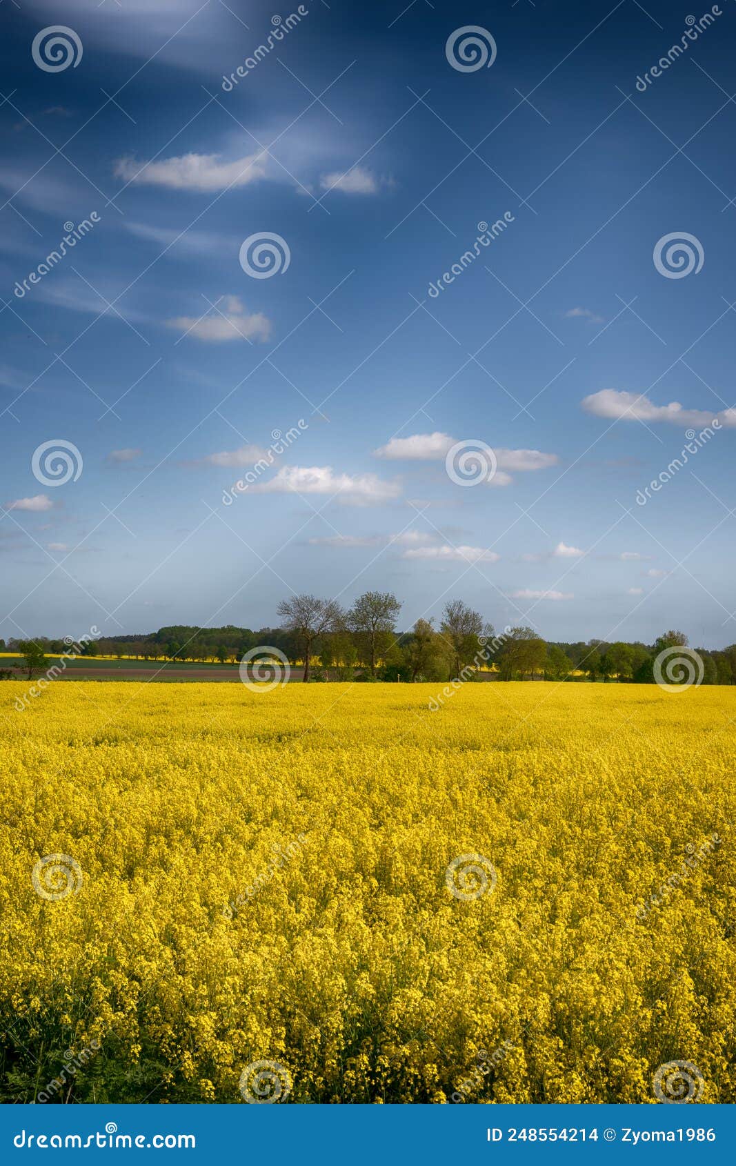 The Perfect Landscape of Fields in a Sunny Day with Perfect Clouds in ...
