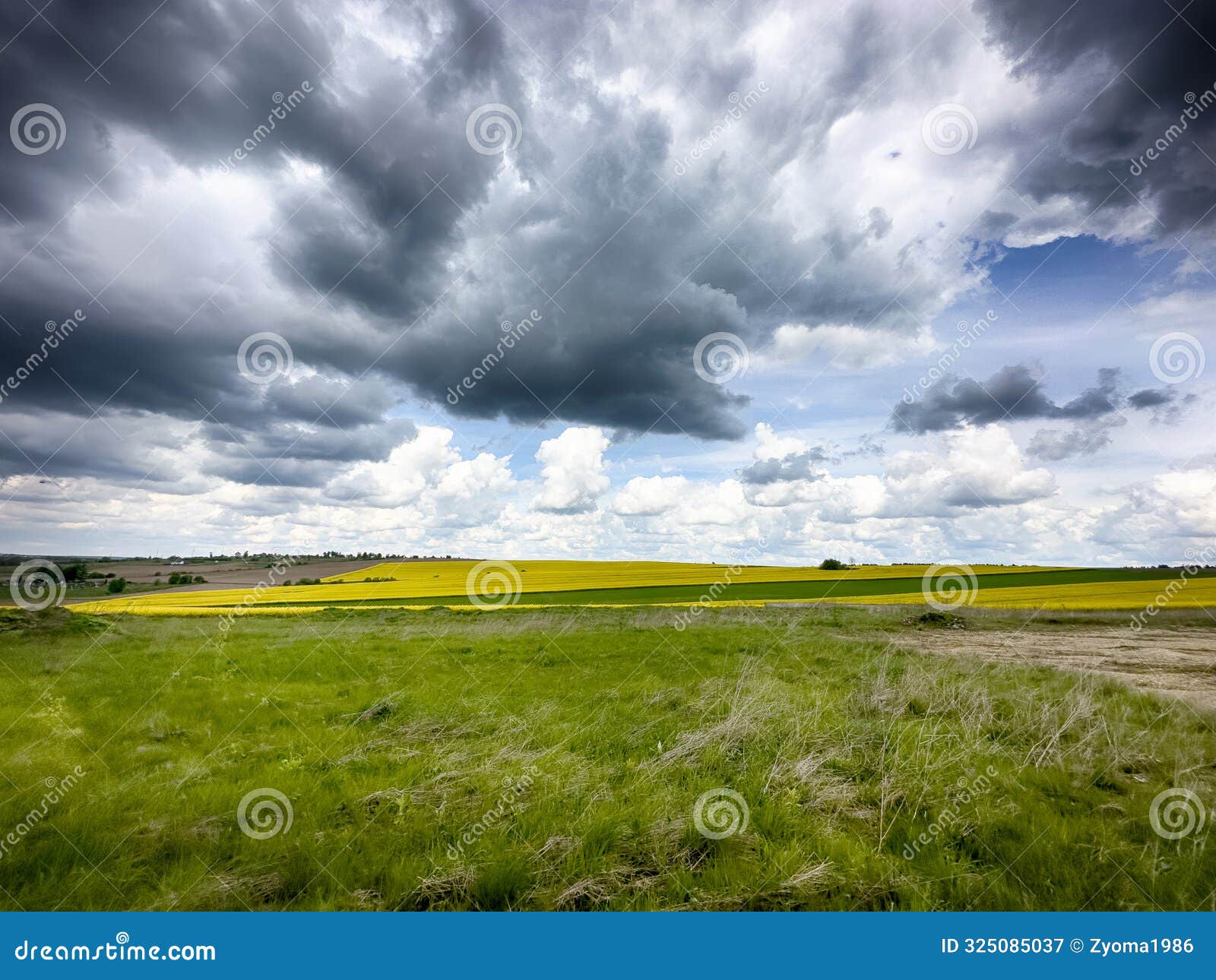 The Perfect Landscape of Fields in a Sunny Day with Perfect Clouds in ...