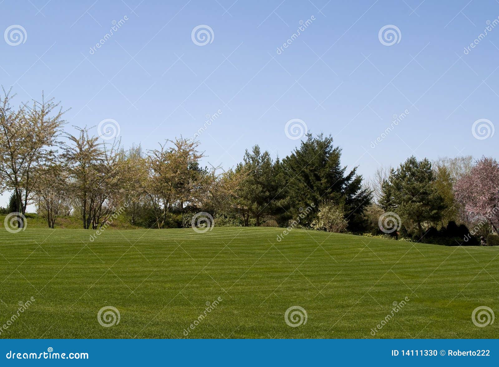 Perfect lawn stock photo. Image of season, lawn, plants - 14111330