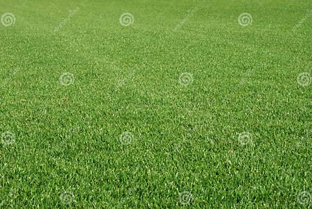 Perfect lawn stock image. Image of simple, ground, grass - 2189663
