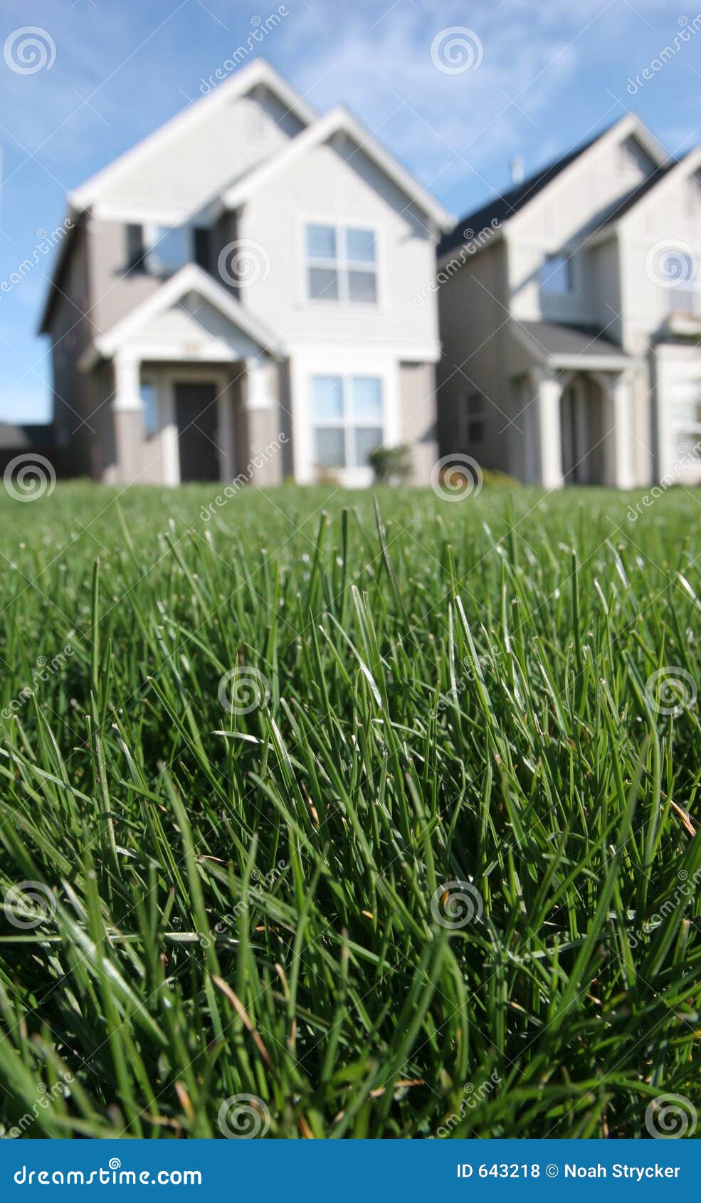 Perfect Lawn stock photo. Image of develop, front, killer - 643218