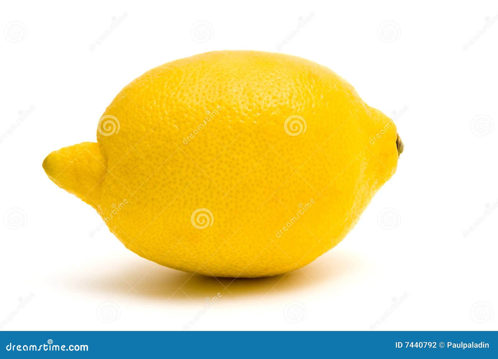 Perfect Lemon stock photo. Image of vibrant, food, horizontal - 7440792