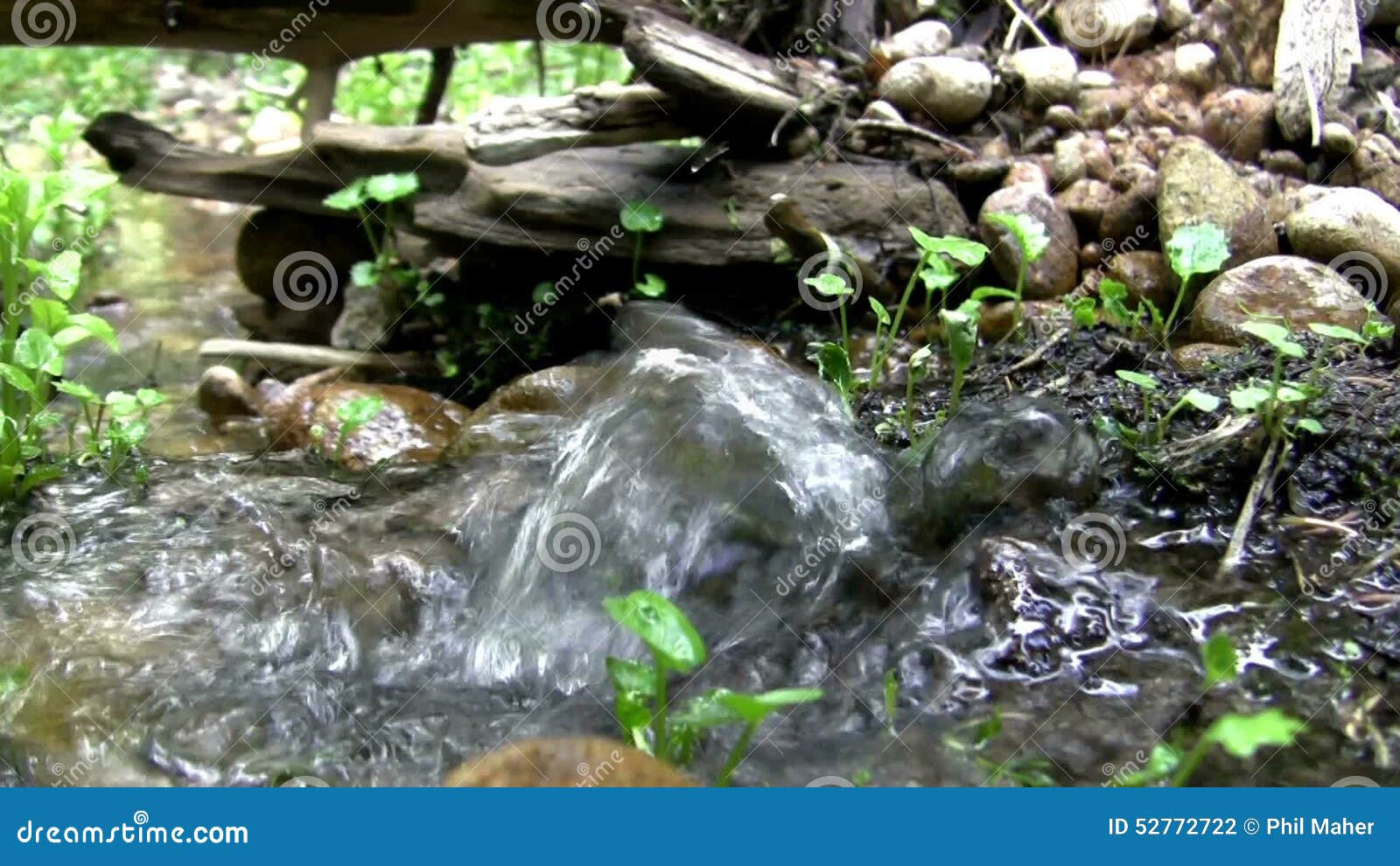(Perfect Loop) Water Popping Out of Ground! Stock Footage - Video of ...