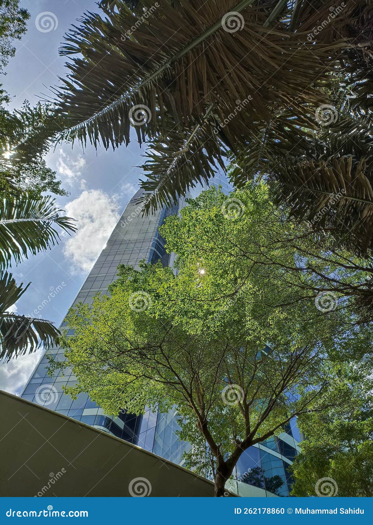 Perfect Lunch at Park Under the Trees and Skyscraper Stock Photo ...