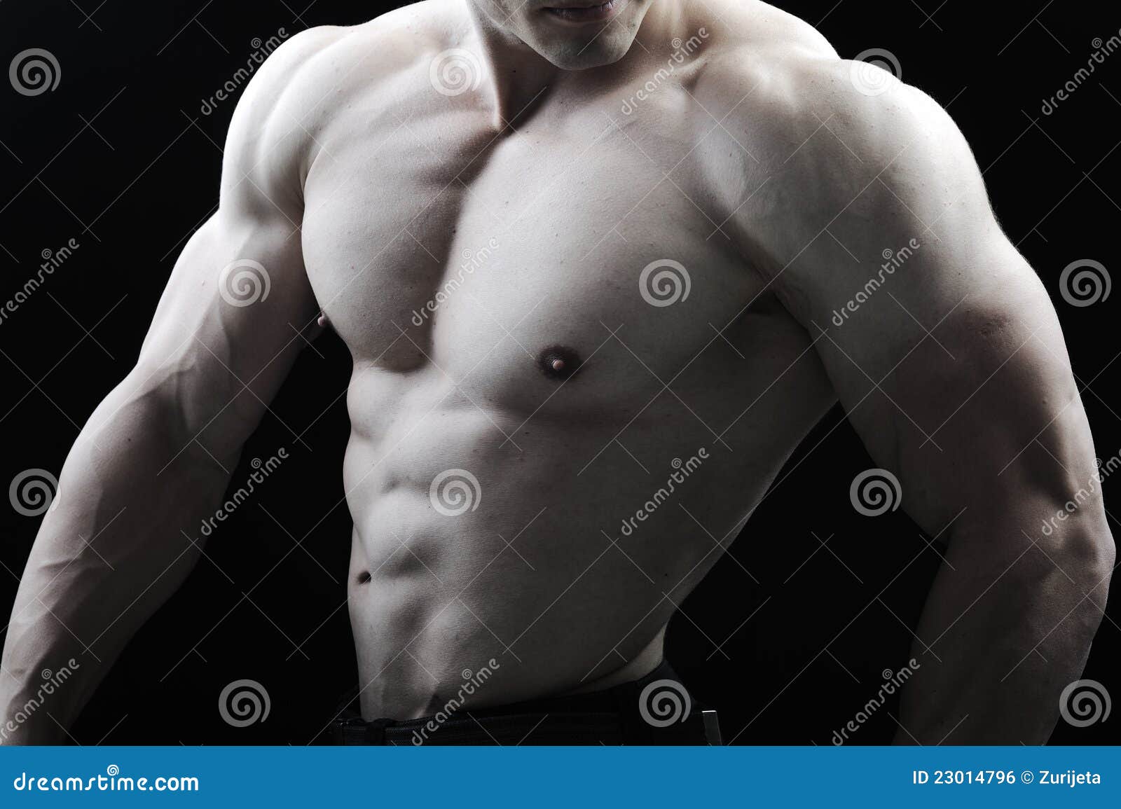 Male Body Builder Royalty-Free Stock Photography | CartoonDealer.com ...