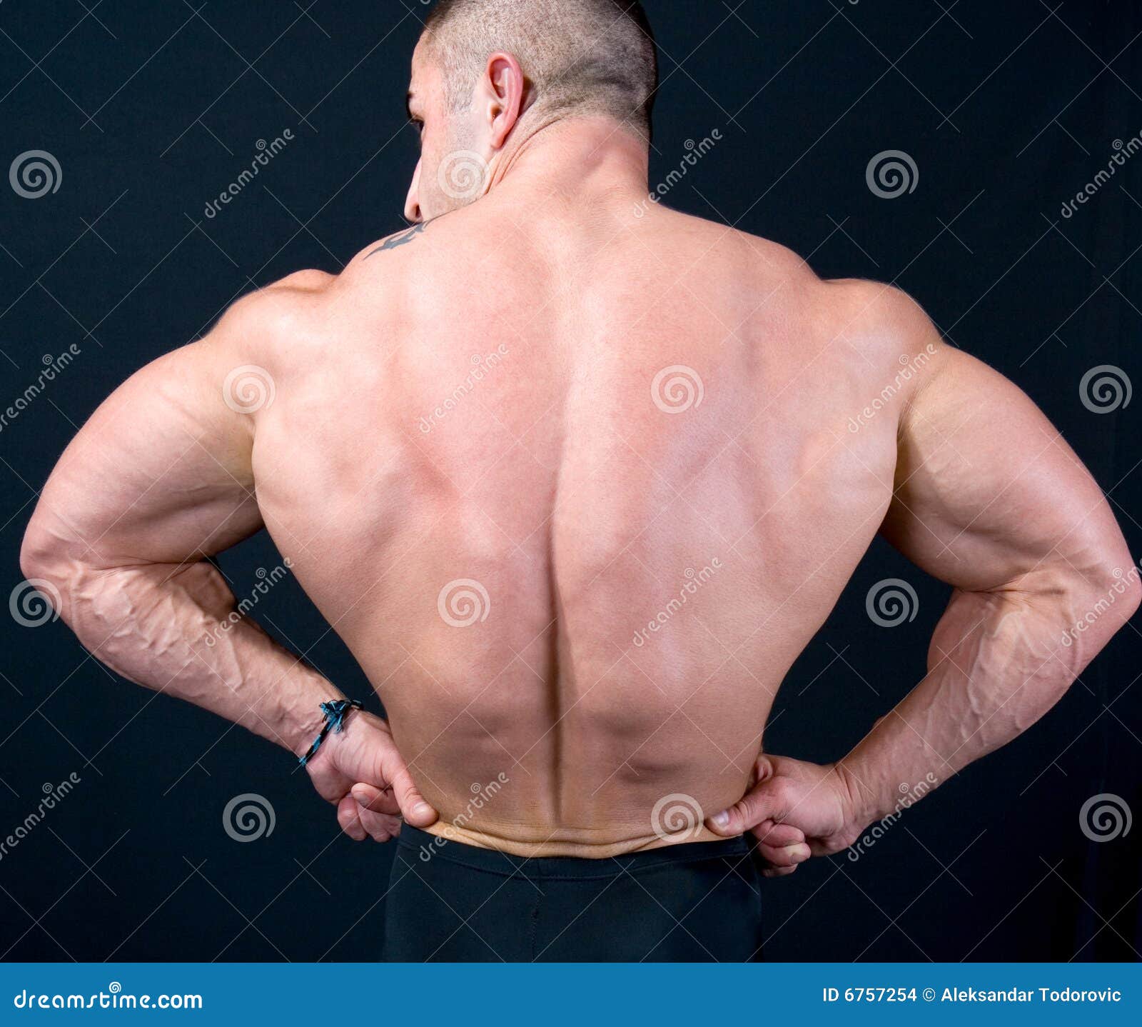 Perfect Male Back