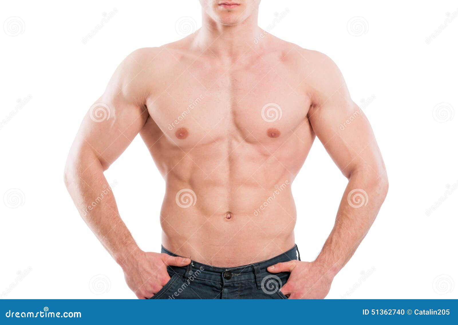 Perfect male torso stock photo. Image of pack, muscles - 51362740