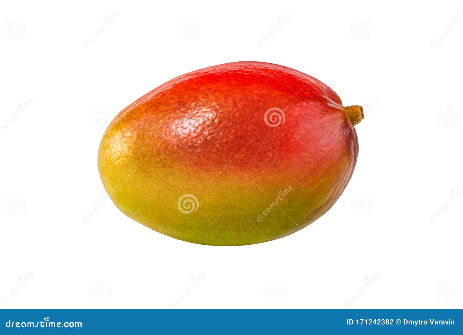 Perfect Mango without Leaf Isolated on White Stock Photo - Image of ...