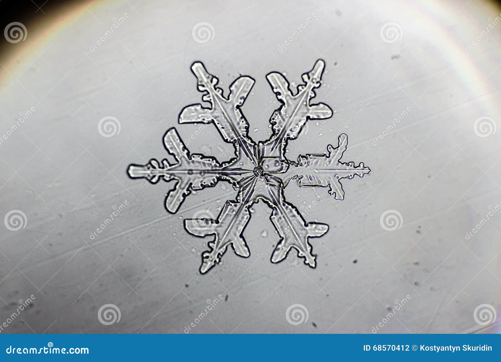 Perfect Melting Snowflake Stock Footage & Videos - 2 Stock Videos
