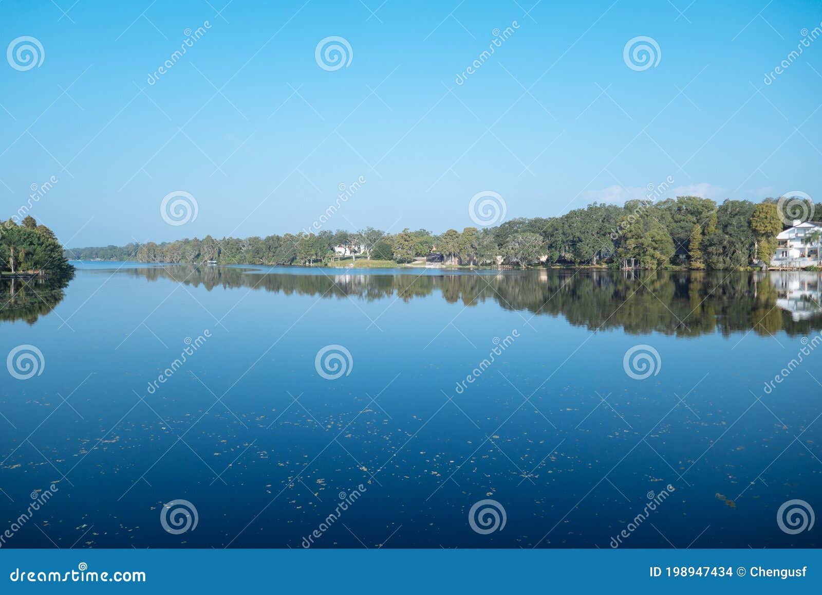 Perfect Mirror Reflection Formed by a River Stock Photo - Image of ...