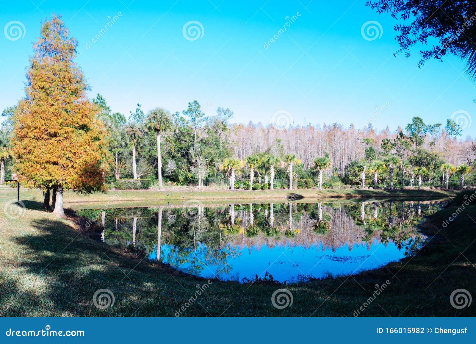 Perfect mirror reflection stock photo. Image of mirror - 166015982