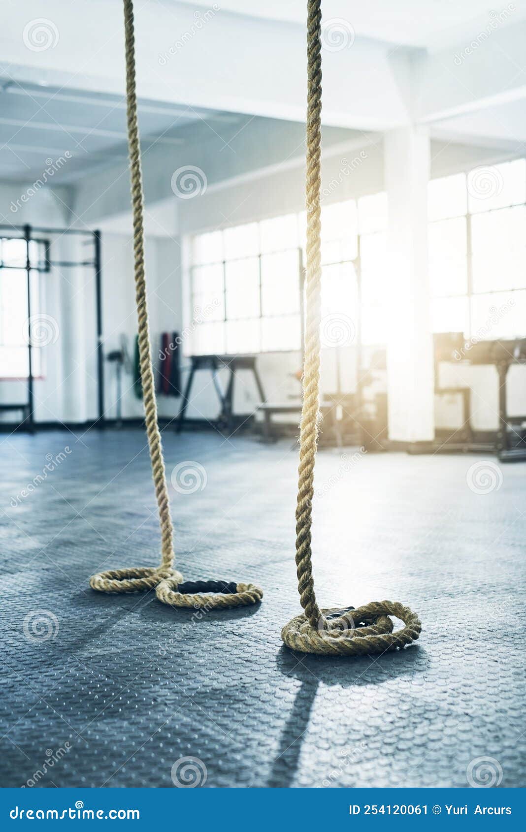 The Perfect Place To Workout. Climbing Ropes at the Gym. Stock Image ...
