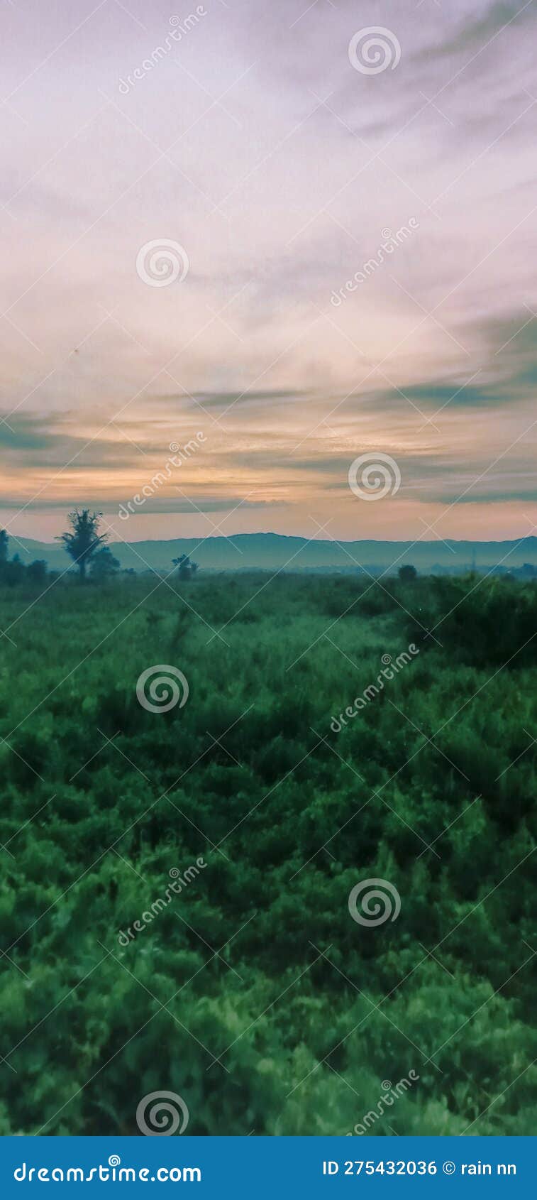 Pomalaa Mountain Stock Photos - Free & Royalty-Free Stock Photos from ...