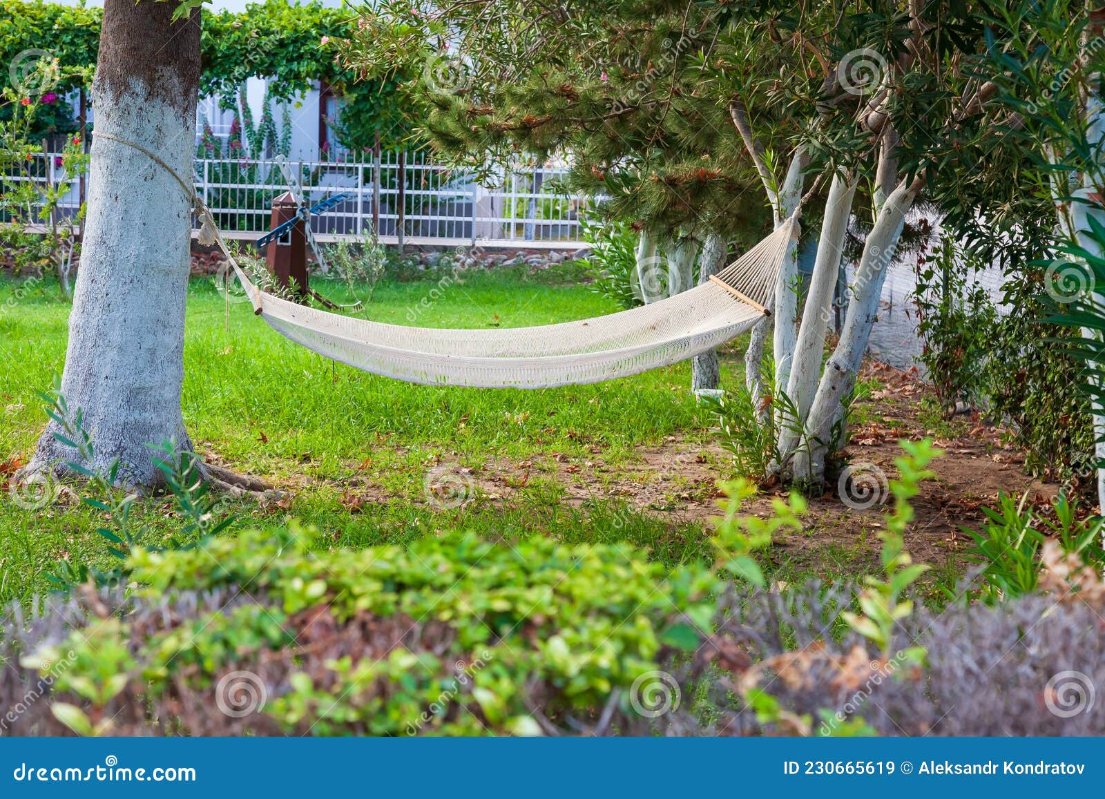 Perfect Private Garden, with Empty Hammocks Under the Shadow of Trees ...