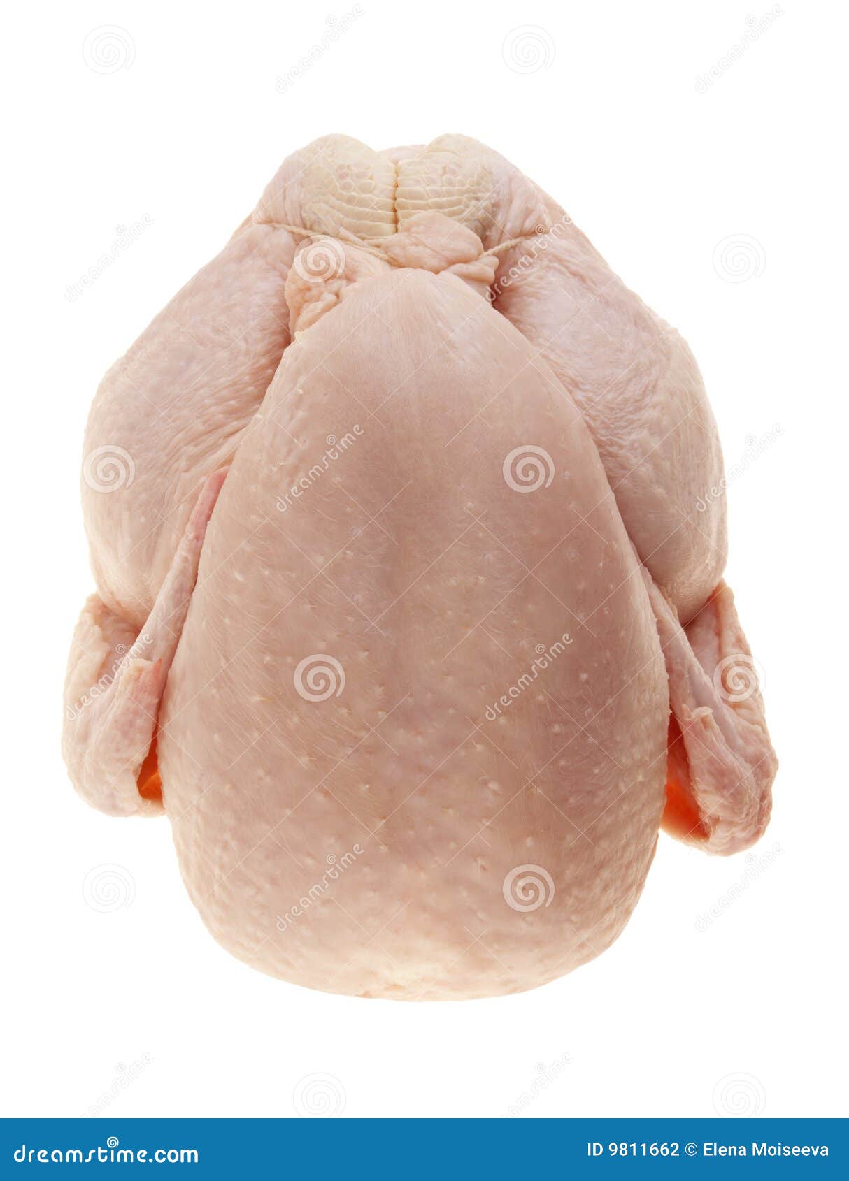 Perfect Raw Chicken Isolated on White , Top View Stock Photo - Image of ...