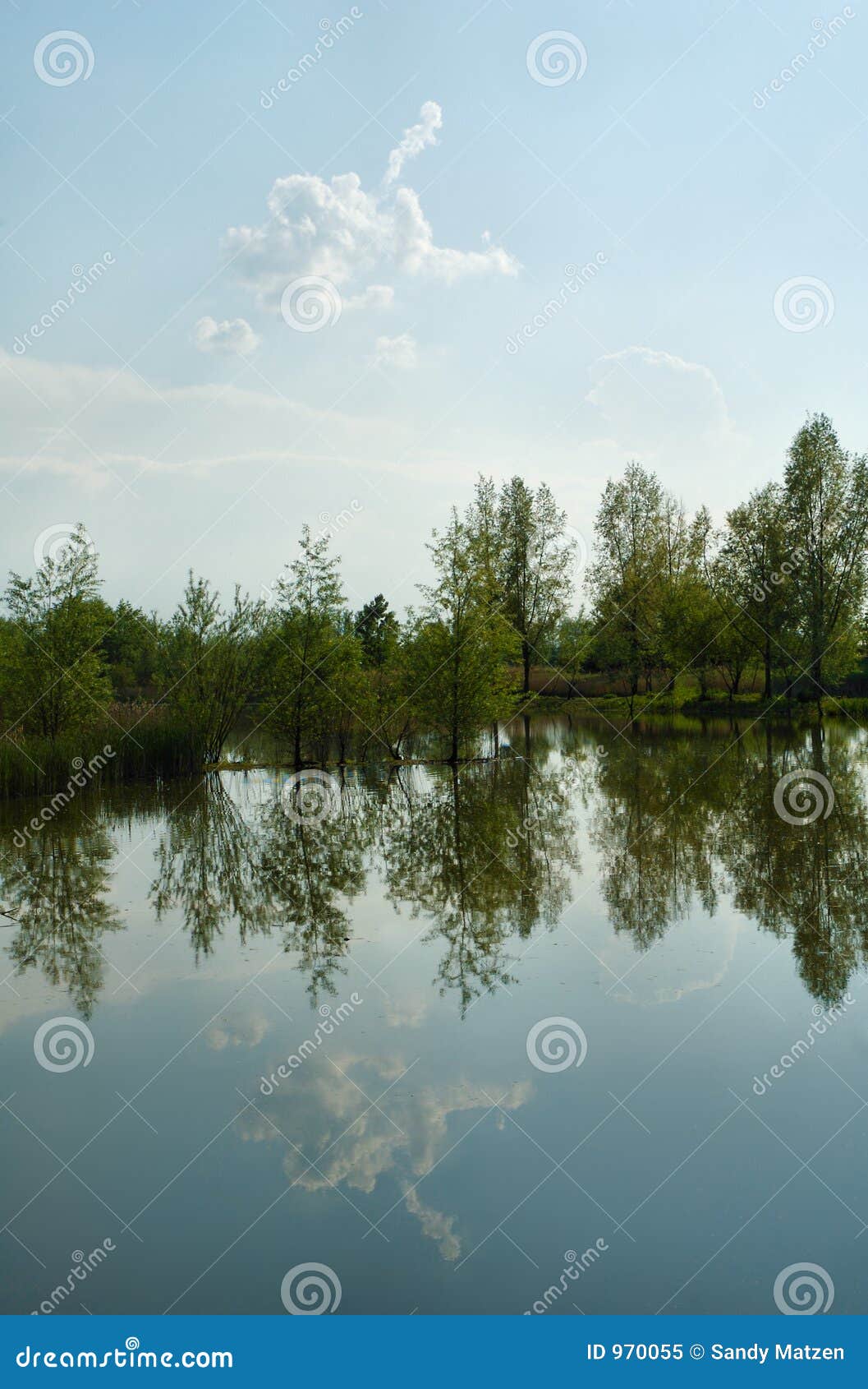 Perfect reflection stock image. Image of clear, nature - 970055