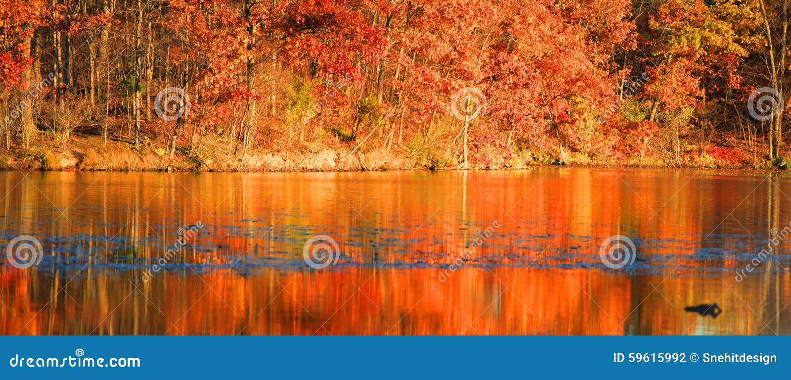 Perfect reflection stock photo. Image of panoramic, lake - 59615992