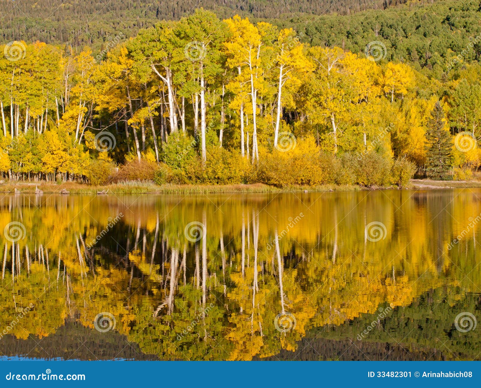Perfect Reflection stock image. Image of pond, tree, peak - 33482301